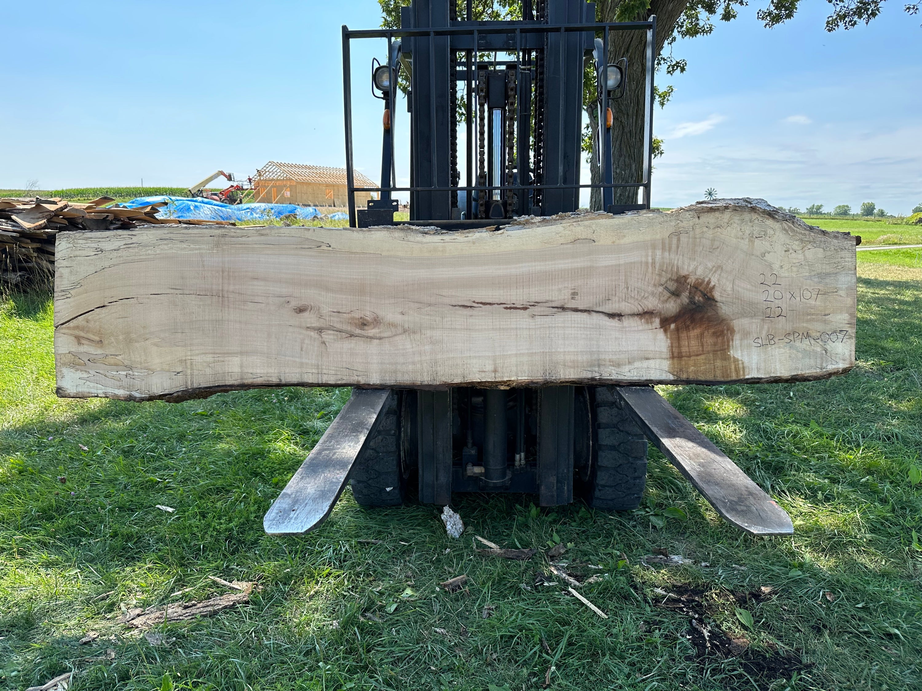 SLB-SPM-007 Spalted Maple Slab – Monk Creek Woodworks