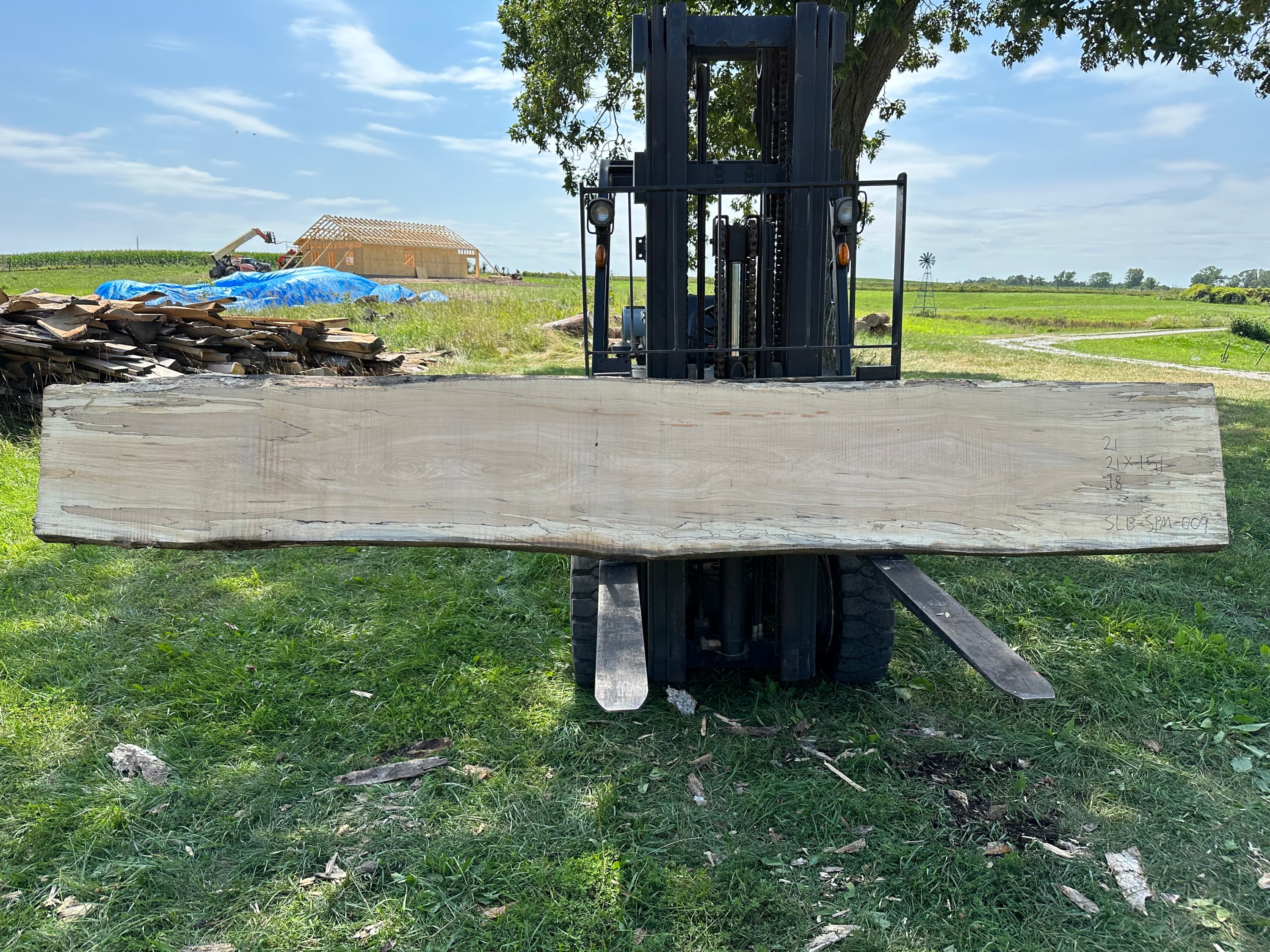 SLB-SPM-009 Spalted Maple Slab – Monk Creek Woodworks